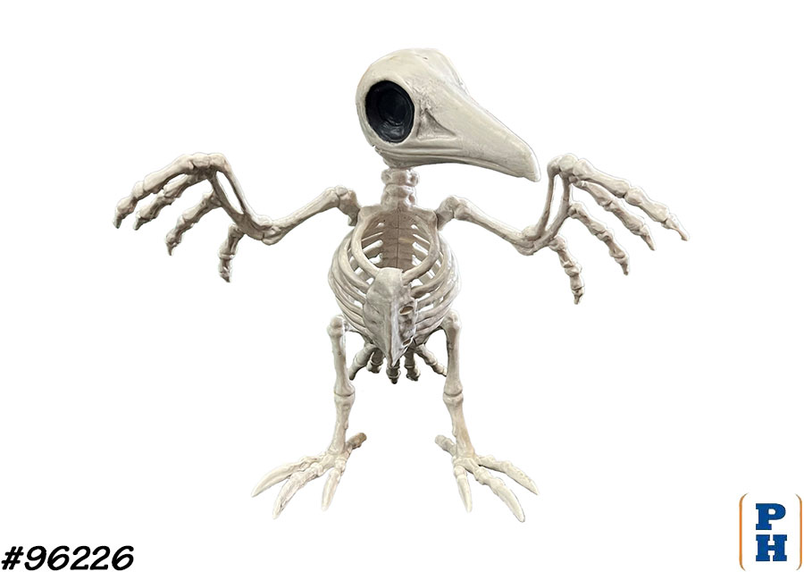 Skeleton, Crow in Halloween, Supernatural & Horror