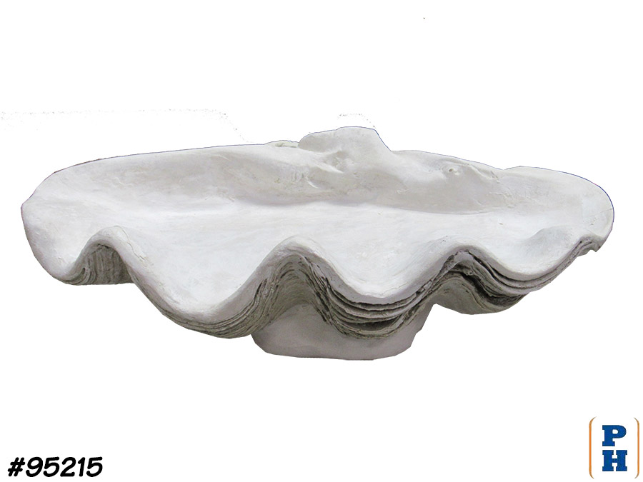Clam Shell in Patio & Garden