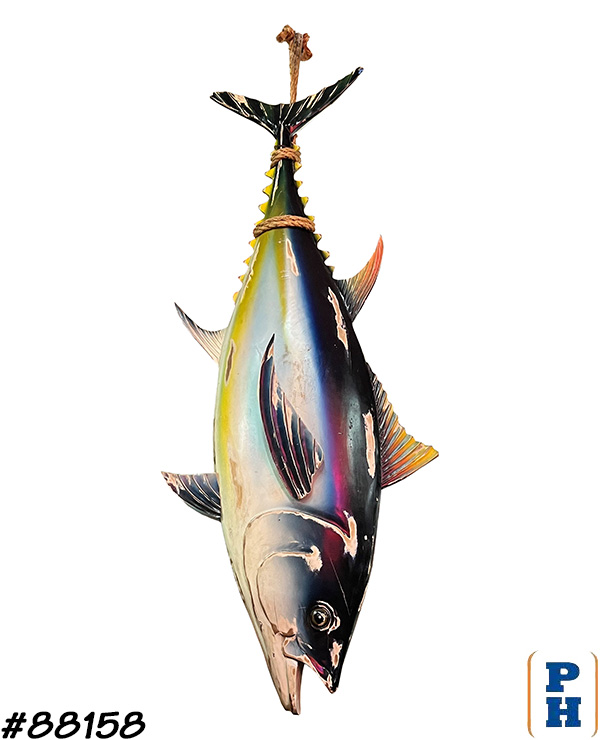 Fish Decor in Animals