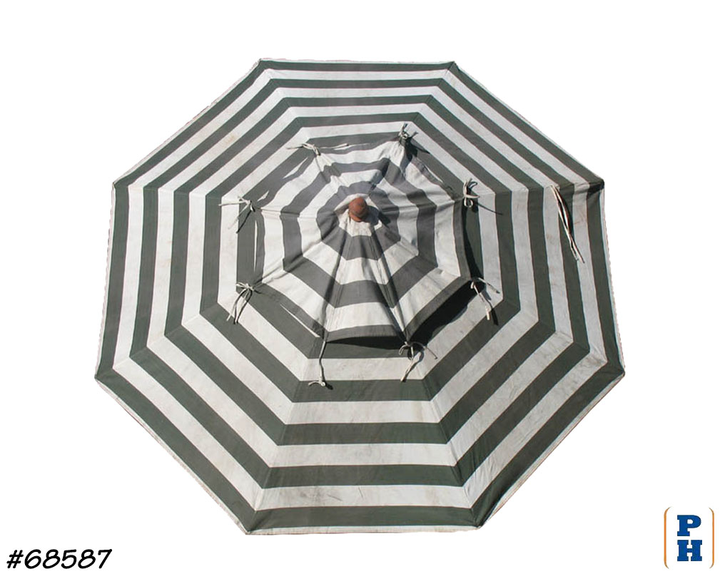 Umbrella in Umbrellas