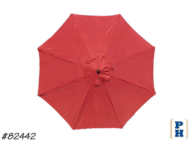 Umbrella in Umbrellas