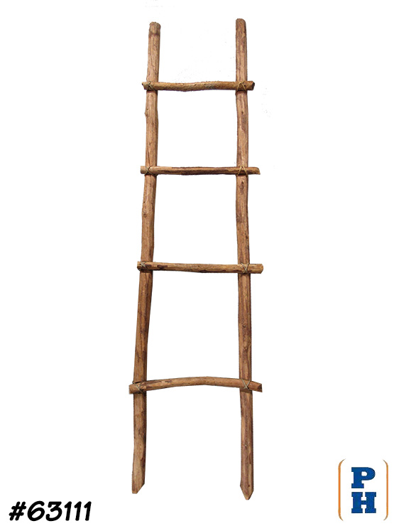 Ladder in All Western